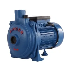 Buy Singer Water Pump 3/4HP WP-CH175