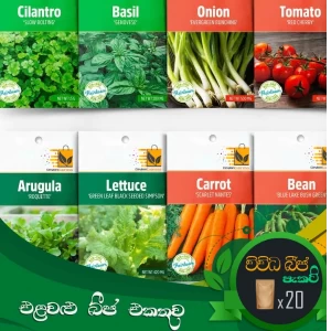 Buy Premium Quality Vegetable Seeds 20 Random Packets