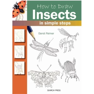 Buy How to Draw Insects in Simple Steps By Dandi Palmer