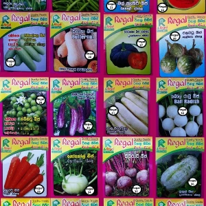 Buy vegetable seeds