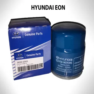 Buy Hyundai EON Genuine Oil Filter 26300-02503 C901