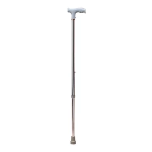 Buy Walking Stick 2 Folding