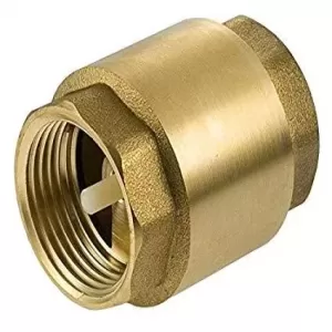 Buy Non Return Valve 1inch 32mm Brass