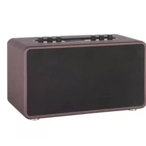Buy ABANS Portable Speaker RM-550