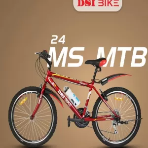 Buy Dsi 24 Inch 21 Speed Bicycle