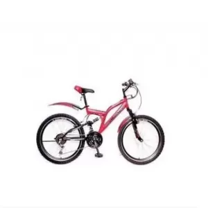 Buy Dsi 26 Inch 21 Speed Dual Suspension Bicycle