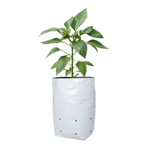 Buy UV Treated Grow Bags (16"x16") 100 Pcs