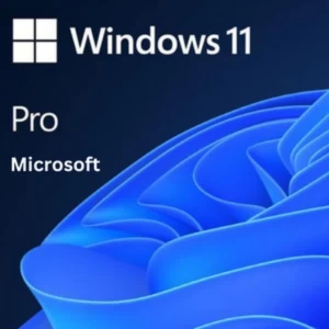 Buy Windows 11 Pro Activation Key Global Lifetime activation
