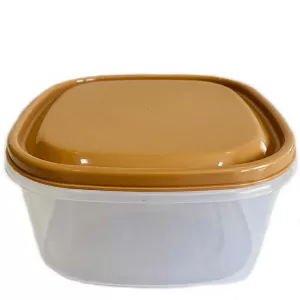 Buy Brown 1 Piece Visual Plastic Food Container (SMALL Brown) Ai