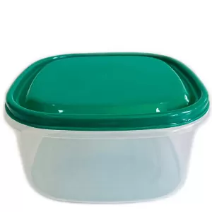 Buy Dark Green 1 Piece Visual Plastic Food Container (MEDIUM Dee