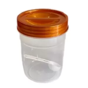 Buy Gold 1 Piece Spicy Container 150 grams can put With Orange G