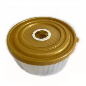 Buy Gold 1 Piece Transparent Plastic Food Container (ROUND LARGE