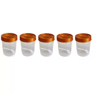 Buy Gold 5 Pieces Spicy Containers 150 grams can put With Orange