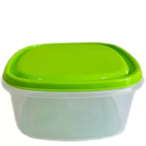 Buy Light Green 1 Piece Visual Plastic Food Container (SMALL Lig