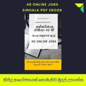 Buy 40 Online Jobs Sinhala PDF eBook