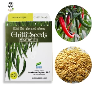 Buy Chilli MICH HY-1 F1 Seed 1g