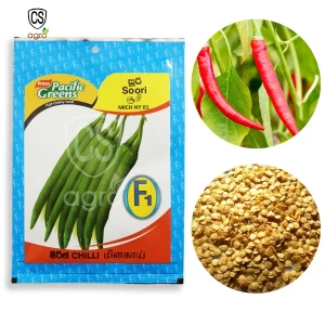 Buy F1 Hybrid Chilli Soori MICH HY 01 Seeds 10g