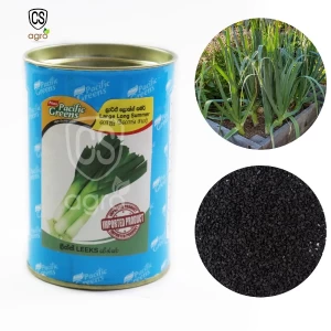 Buy Leek Large Long Summer Seeds 100g