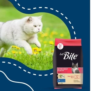 Buy Let's Bite Active Adult Dry Cat Food 400g x 2 Pack