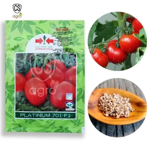 Buy Tomato Platinum 701 F1 Seeds Takkali Beeja