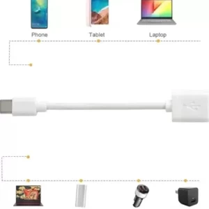 Buy USB Type C OTG Adapter Ivon ( Type C to USB OTG Cable )
