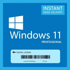 Buy Windows 11 Pro Activation Key Permanent Activation