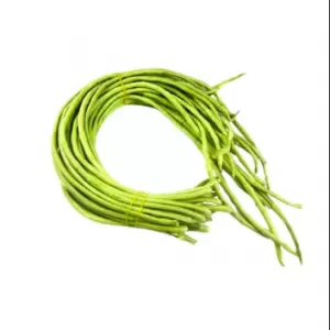 Buy Gannoruwa A9 Mae Seeds for home garden