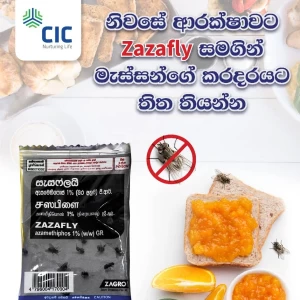 Buy Zazafly Fly Bait 25g