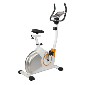 Buy Magnetic Bike - K8704