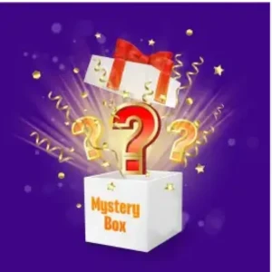 Buy Mystery Box- Surprise Gift