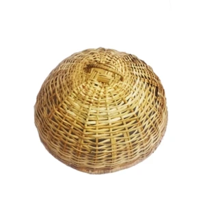 Buy Single Cane Food Cover